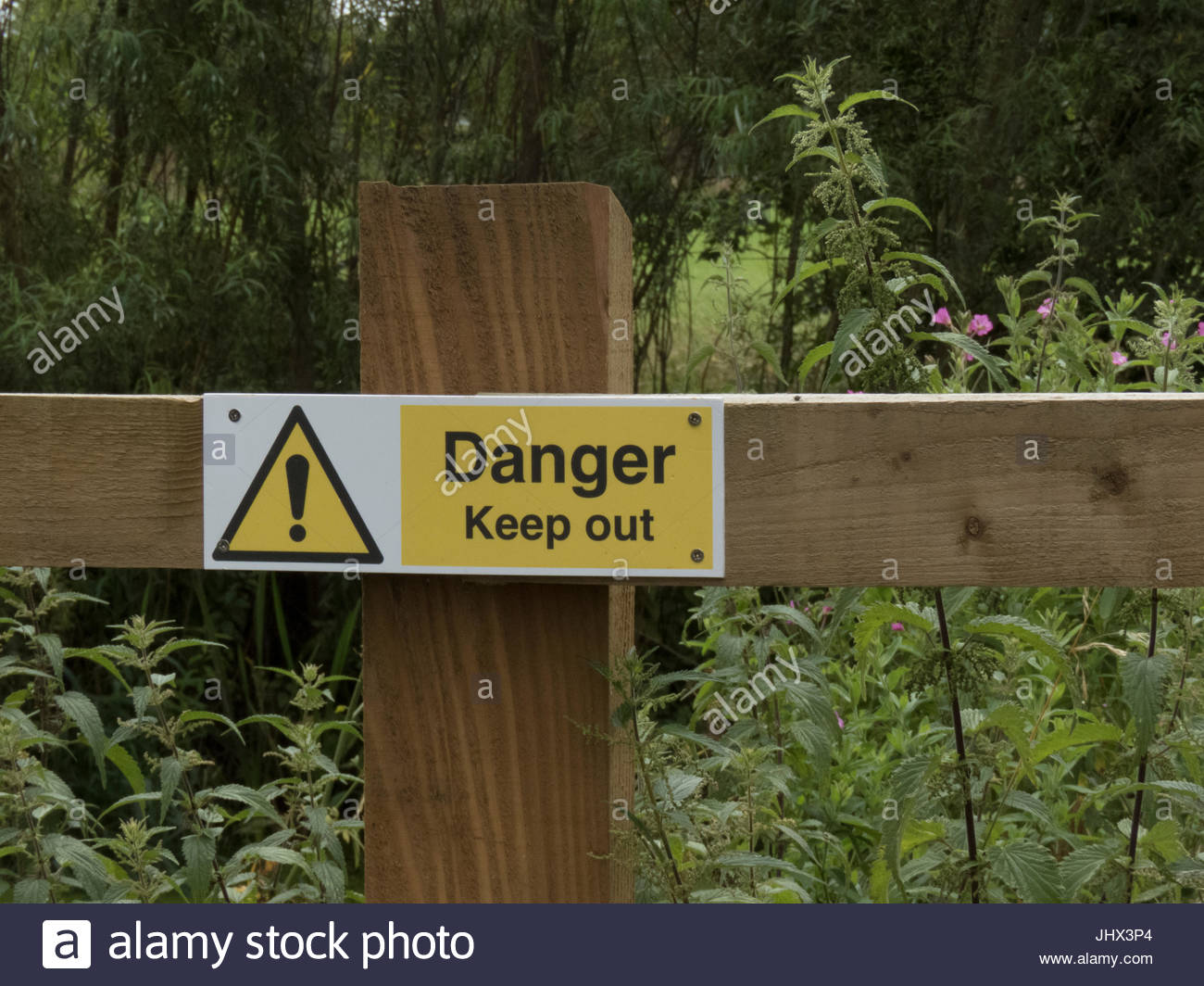 Man And Stinging Nettles High Resolution Stock Photography and Images ...
