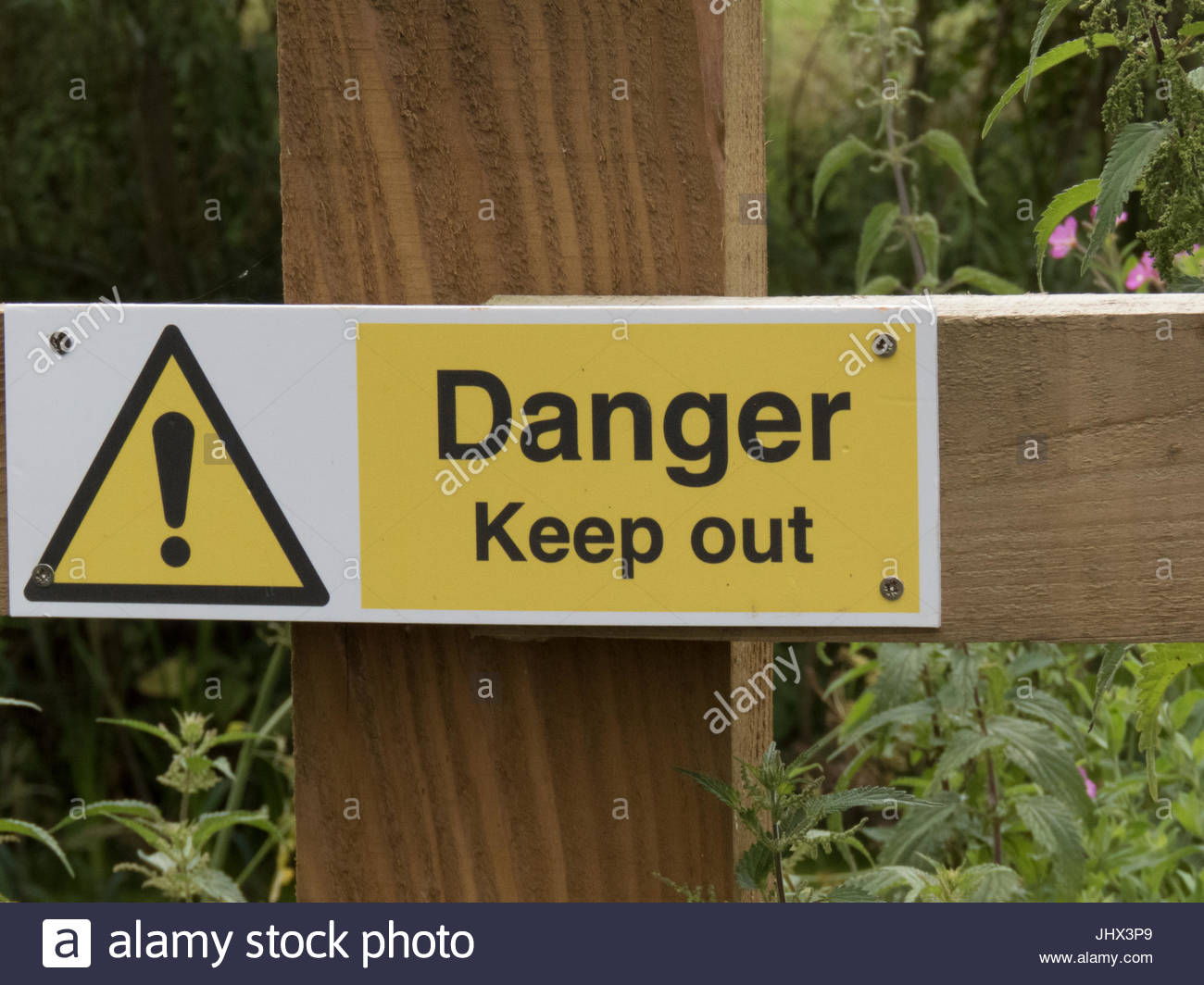 Man And Stinging Nettles High Resolution Stock Photography and Images ...