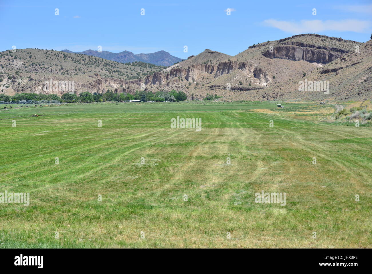 Grasslands at a mountain area in Nevada Stock Photo - Alamy
