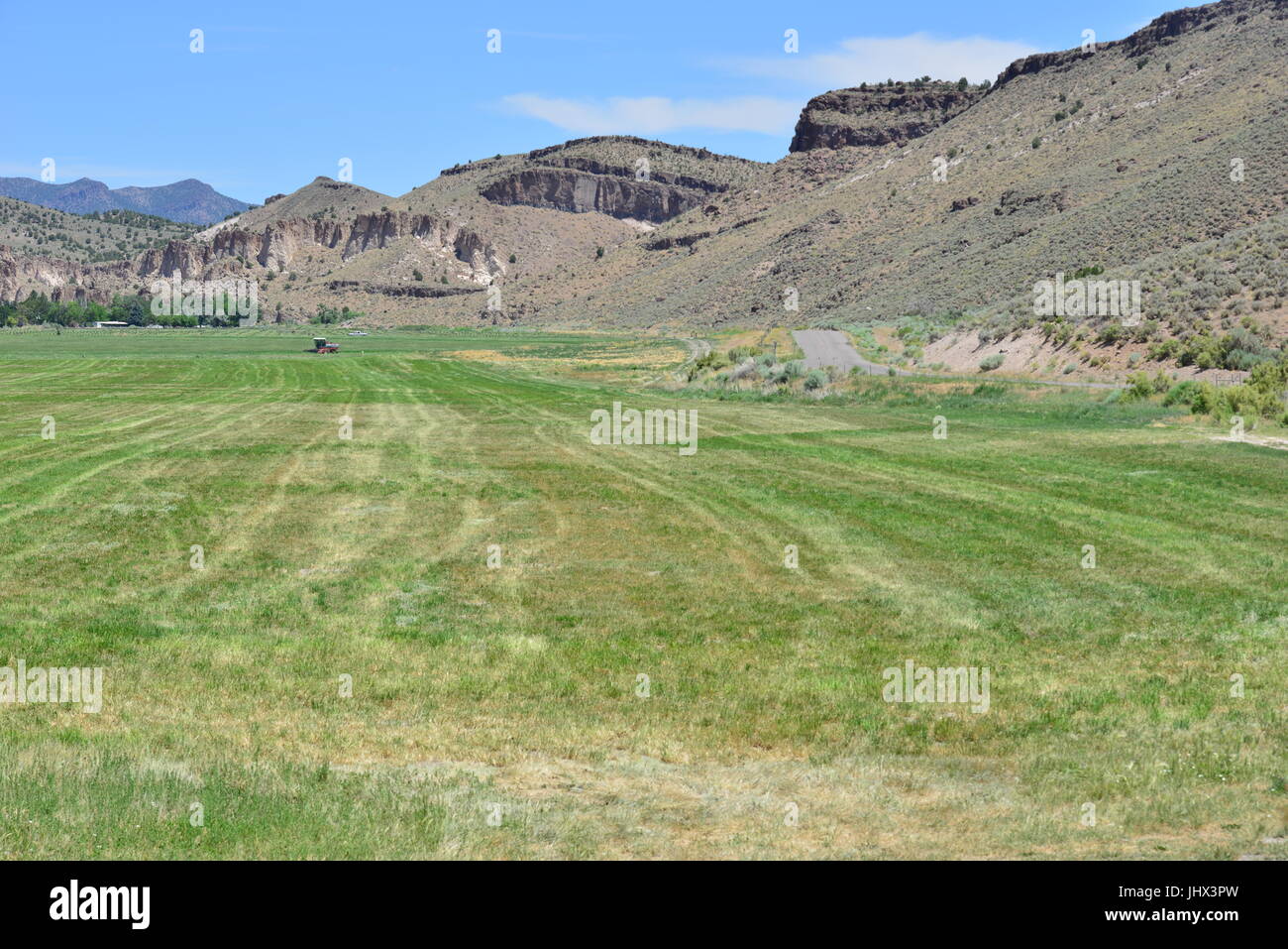 Grasslands at a mountain area in Nevada Stock Photo - Alamy