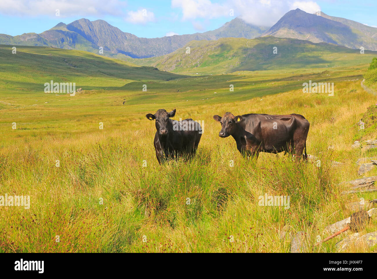 Mount Snowdon landscape view west from Nantygwryd valley, Gwynedd ...