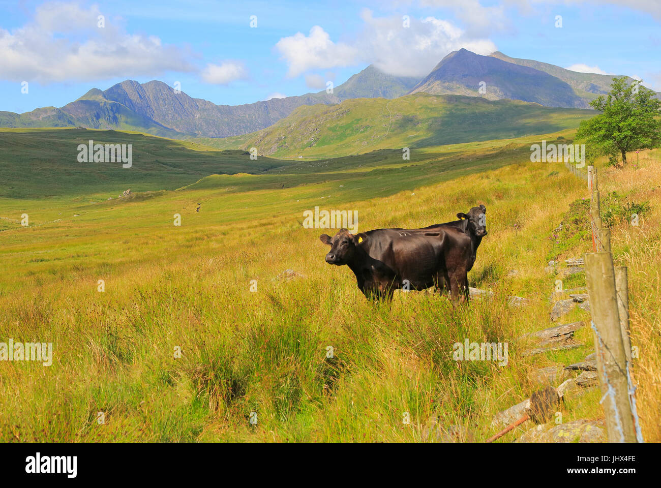 Mount snowdon landscape hi-res stock photography and images - Alamy