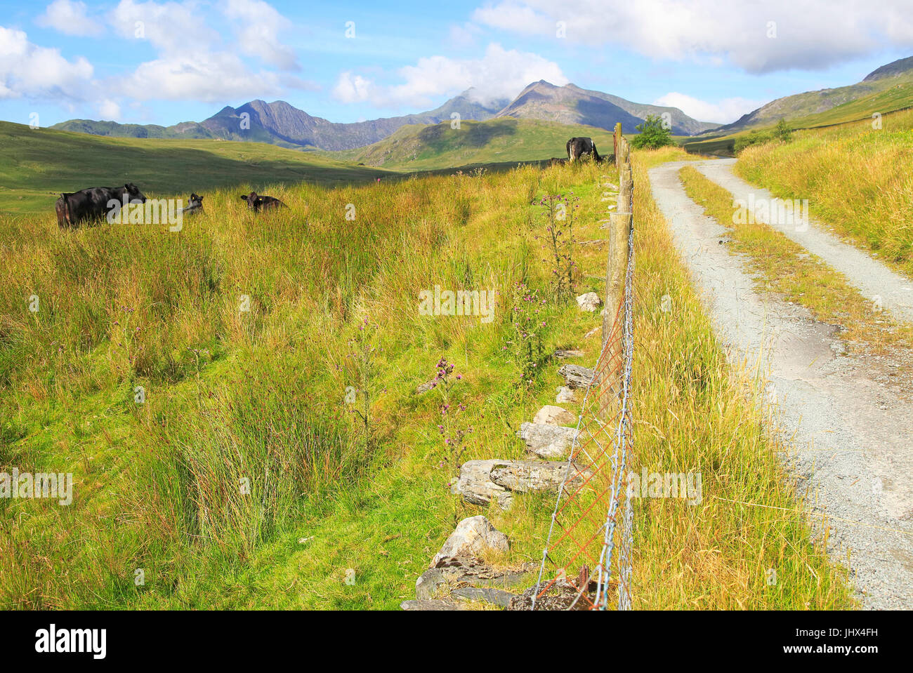 Mount Snowdon landscape view west from Nantygwryd valley, Gwynedd ...