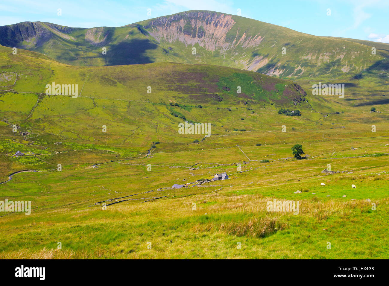 Upland landscape view to Moel Eilio mountain, Mount Snowdon, Gwynedd ...
