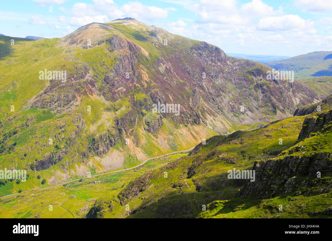 Truncated spurs hi-res stock photography and images - Alamy