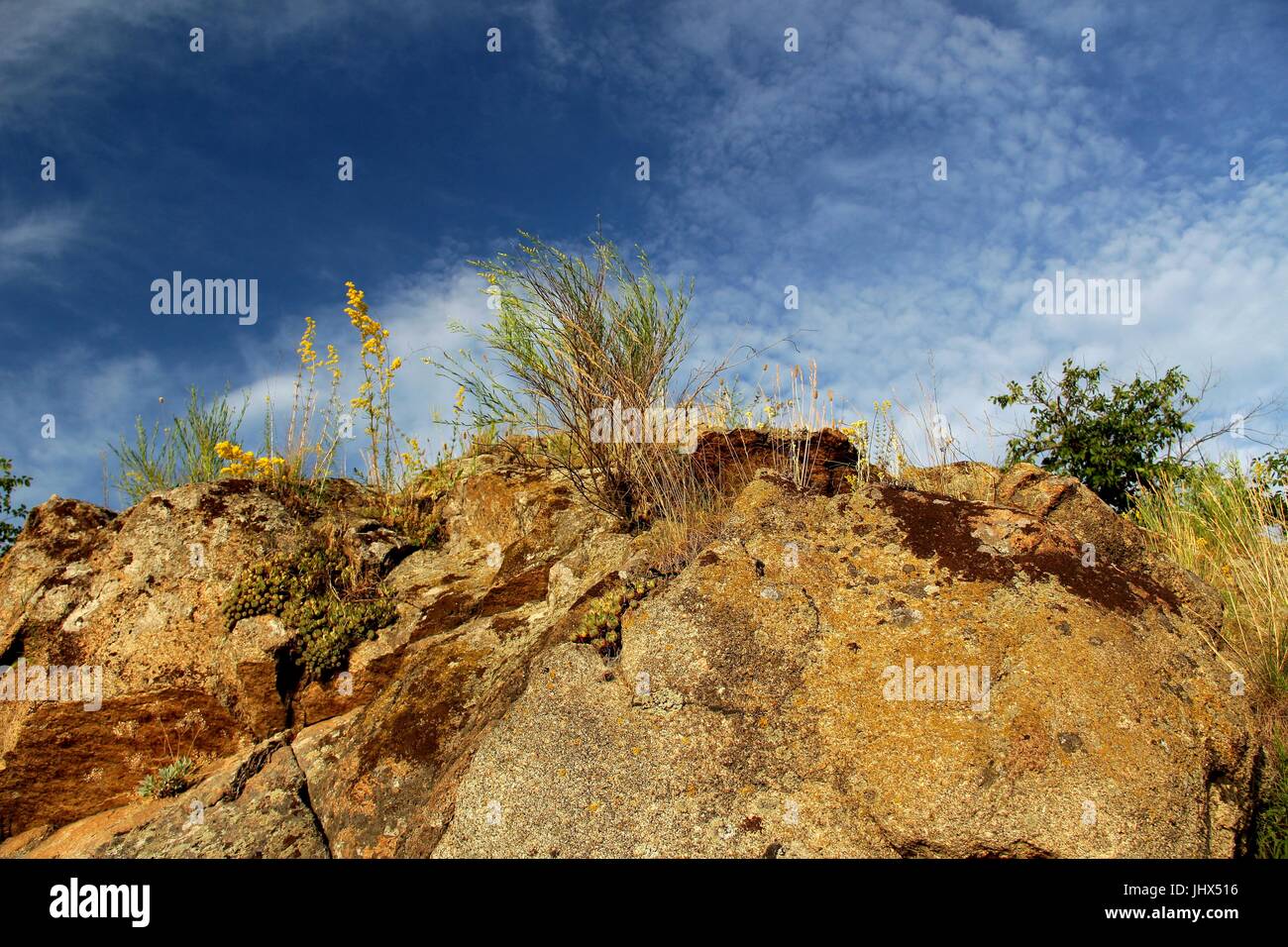 Precambrian period hi-res stock photography and images - Alamy
