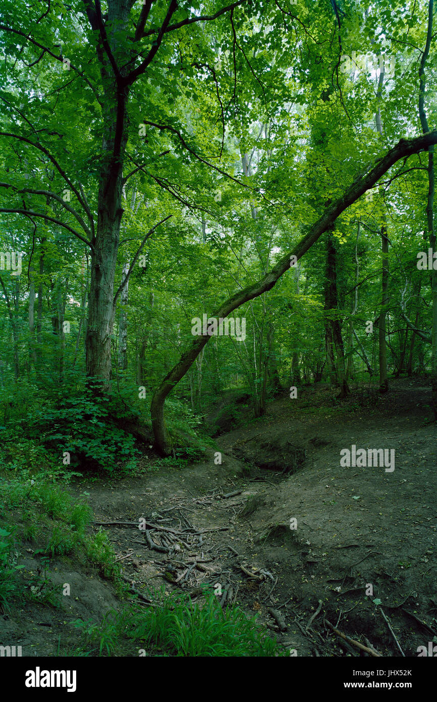 Dried up hi-res stock photography and images - Alamy