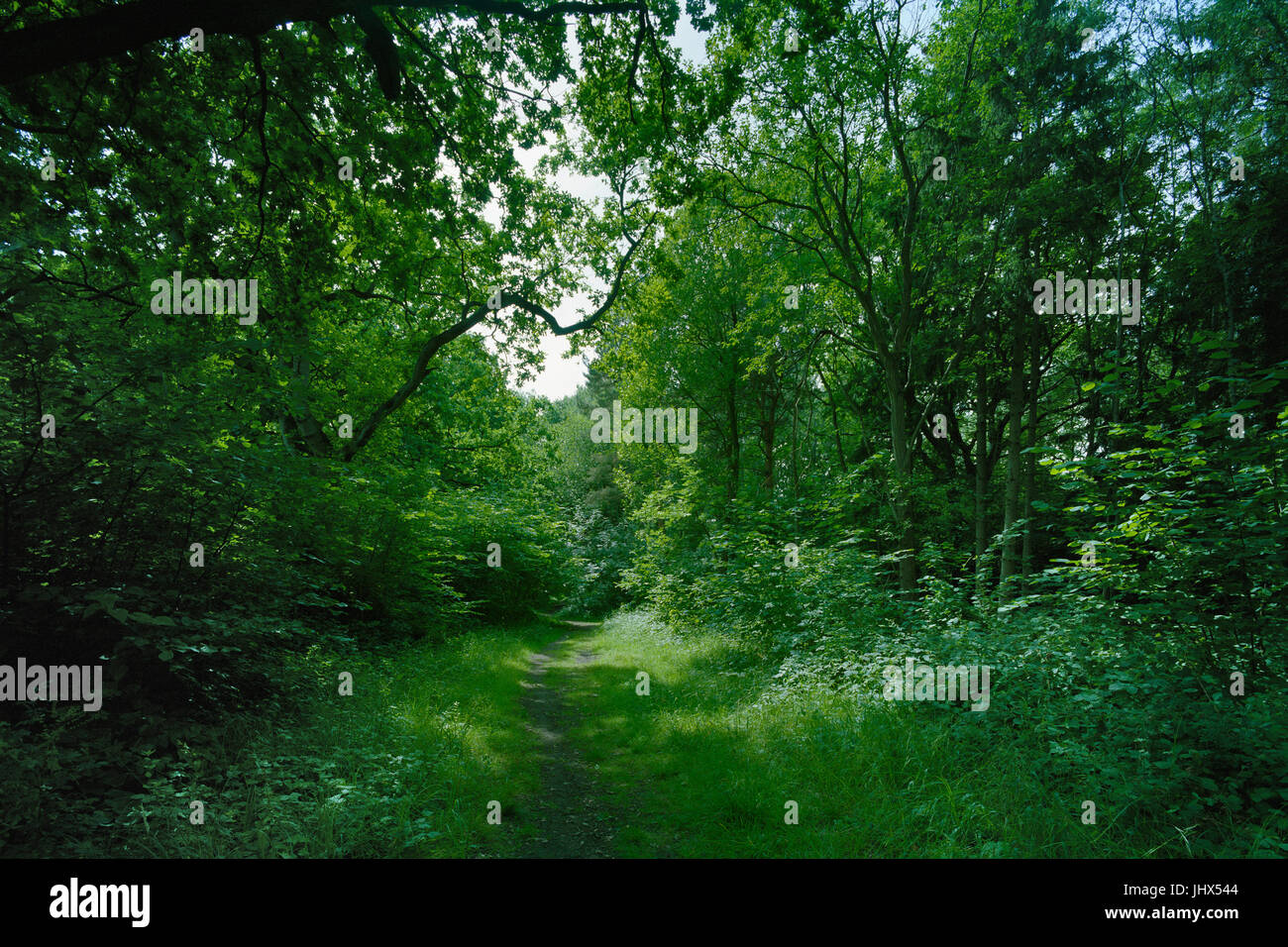 Gamlingay cambridgeshire hi-res stock photography and images - Alamy