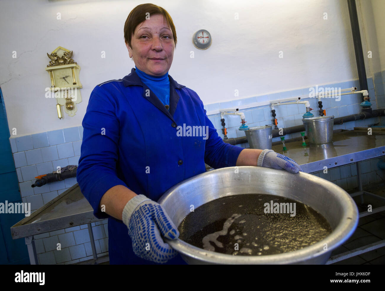 Elutriation and washing of black caviar for sturgeon reproduction ...