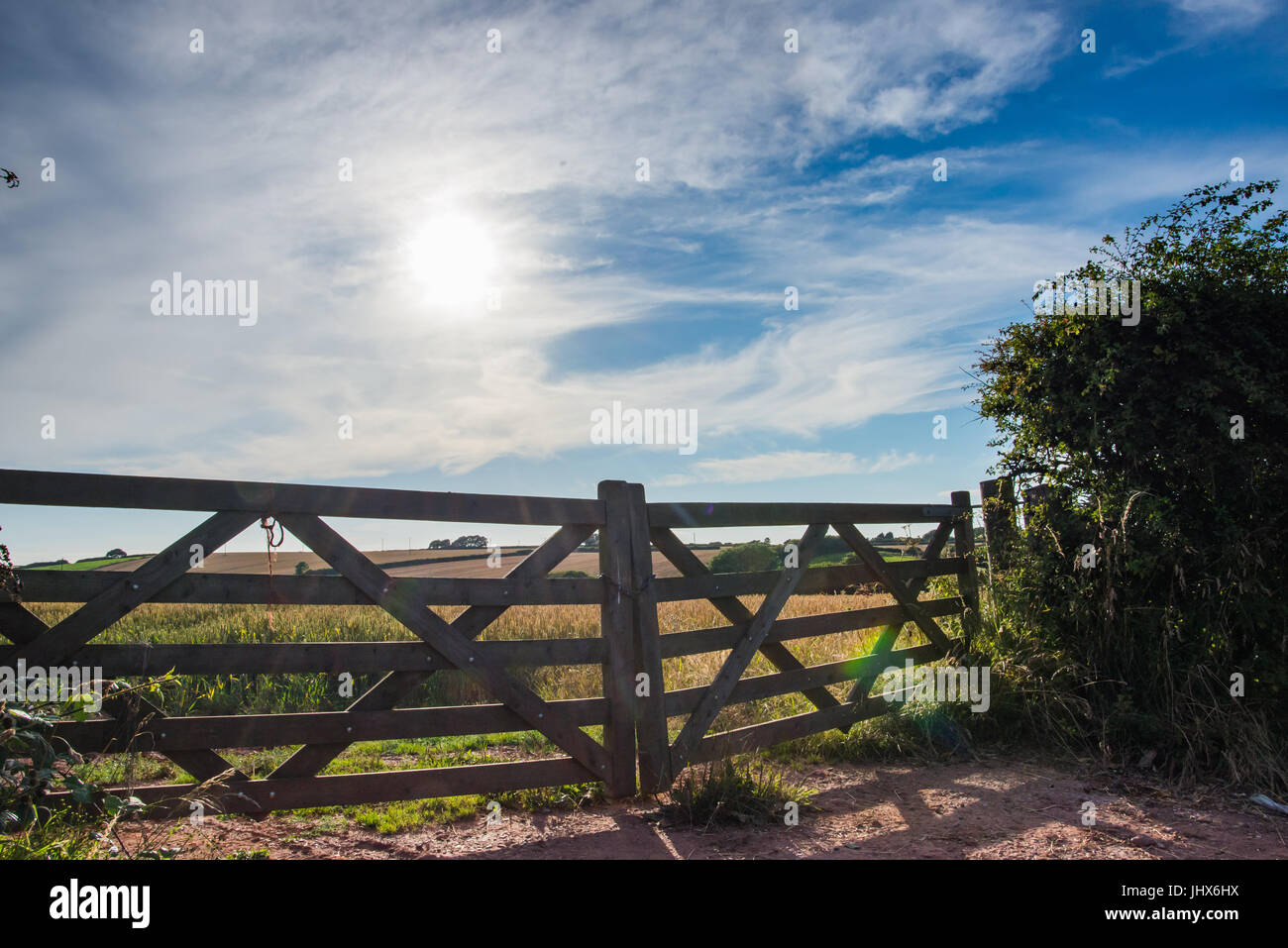 Corn field gate hi-res stock photography and images - Alamy