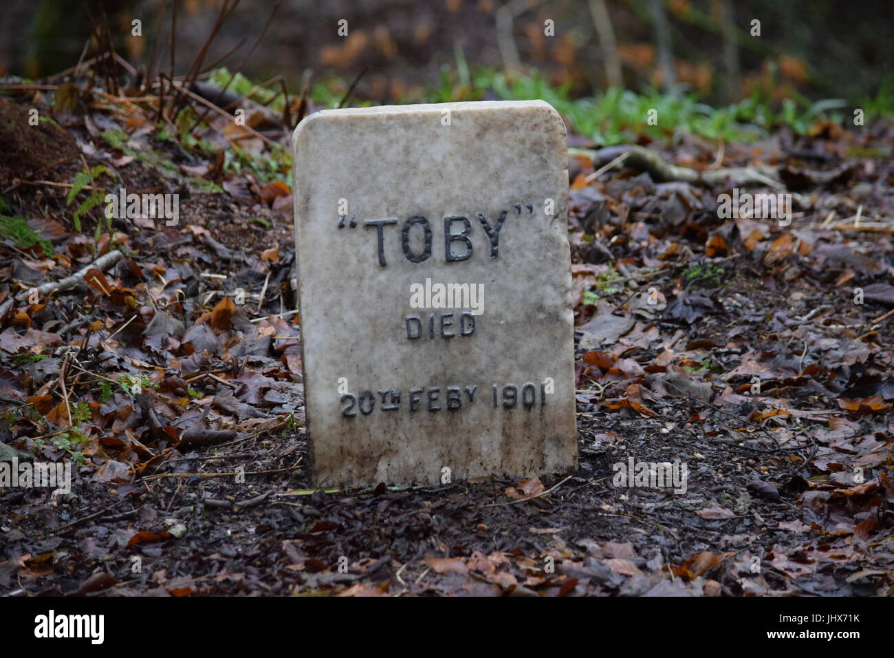 Animal grave marker hi-res stock photography and images - Alamy