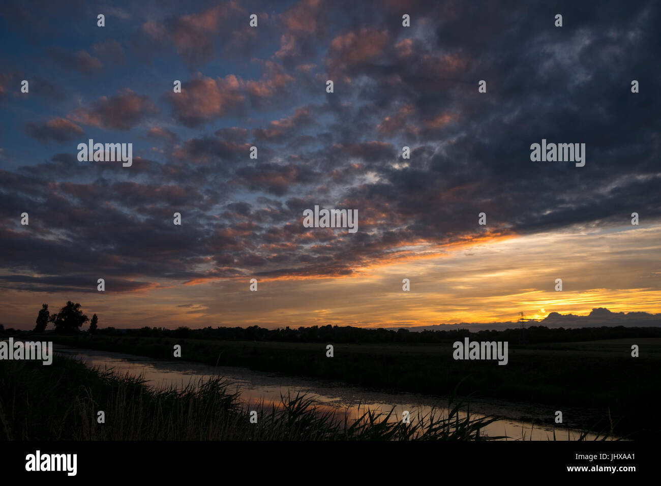 Hamstreet, Ashford, Kent, UK. 16th July, 2017. After a cloudy and humid ...