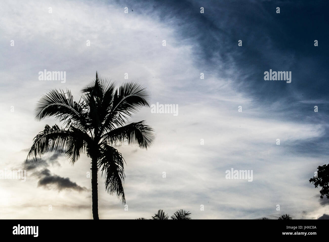 nature, love nature pictures Stock Photo - Alamy