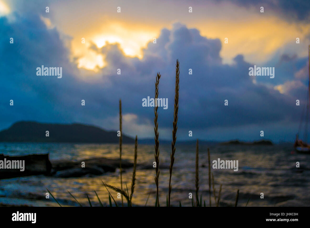 nature, love nature pictures Stock Photo - Alamy
