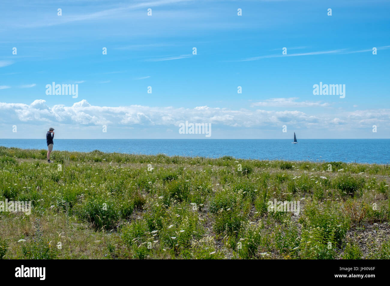 Baltic sea nature hi-res stock photography and images - Alamy