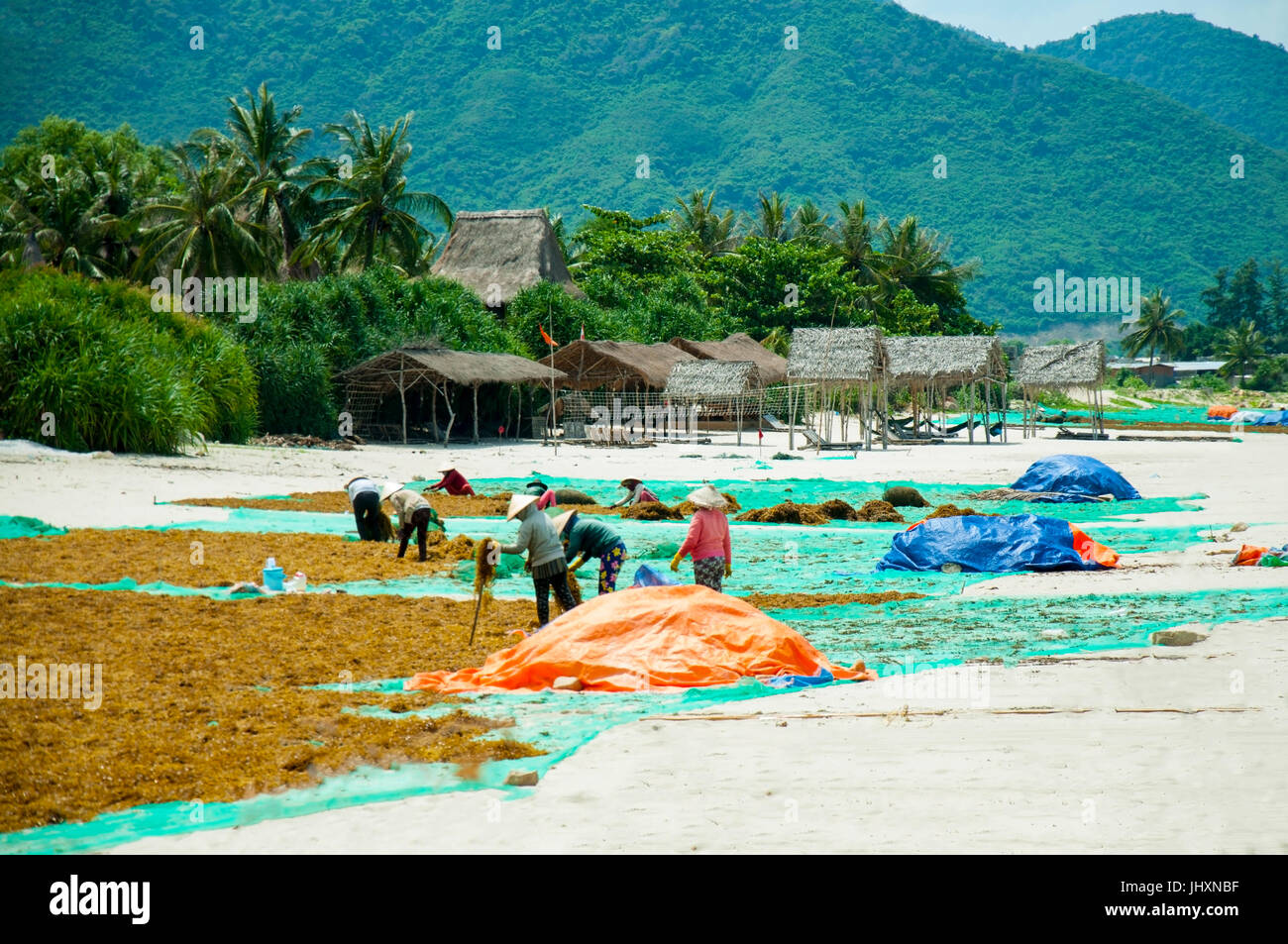 Drying out beach boat hi-res stock photography and images - Alamy
