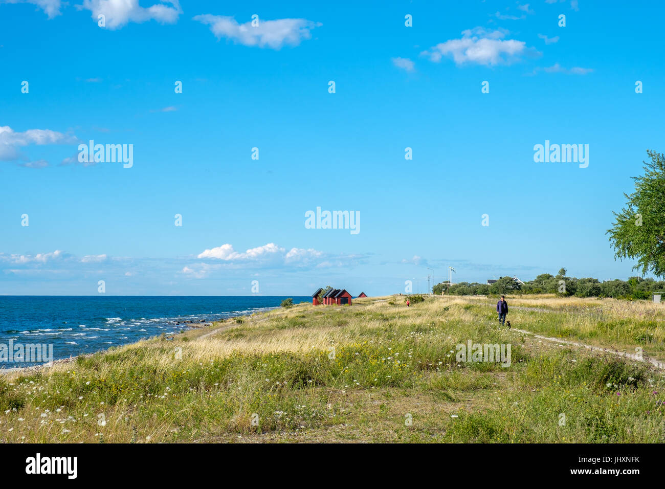 Baltic sea nature hi-res stock photography and images - Alamy