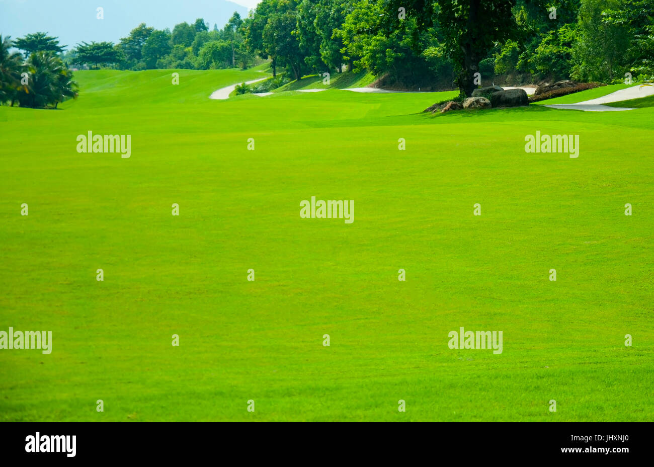 Green golf course, brightly lit by the sun Stock Photo - Alamy