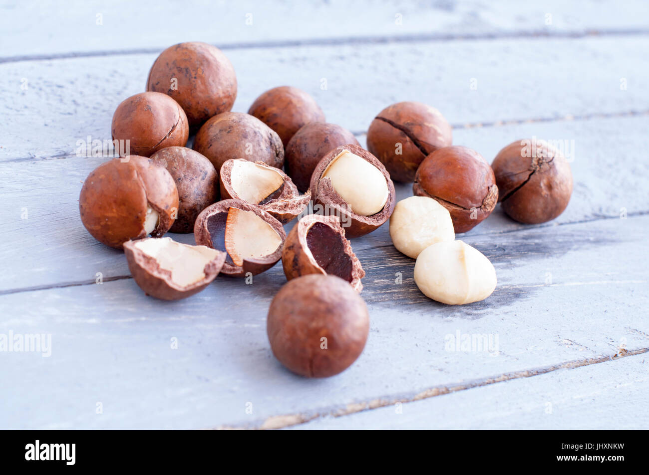 Macadamia is an Australian nut, a Kindal. On a wooden fob is a gray ...