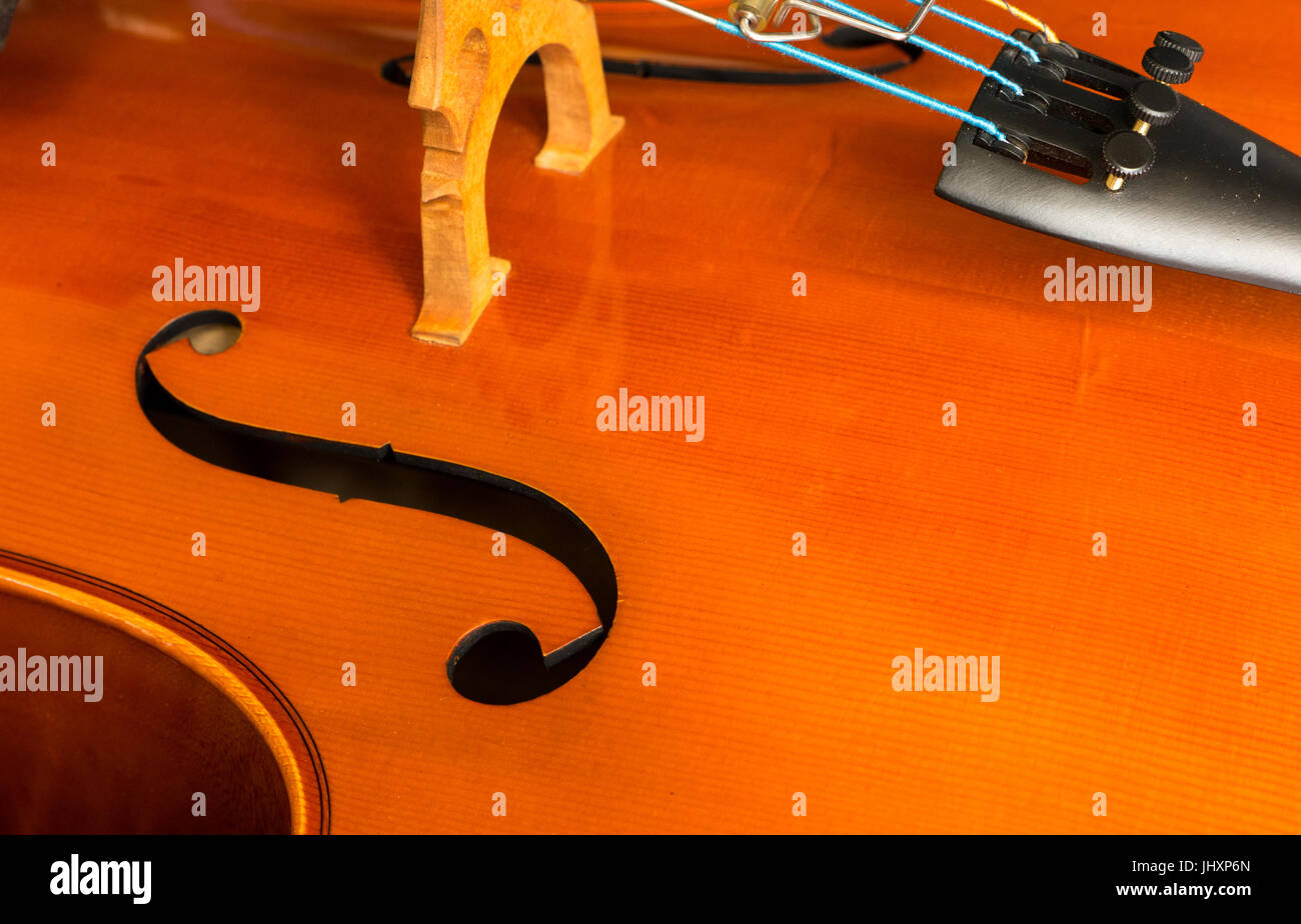 Close up of musical stringed instrument, cello f hole, bridge ...
