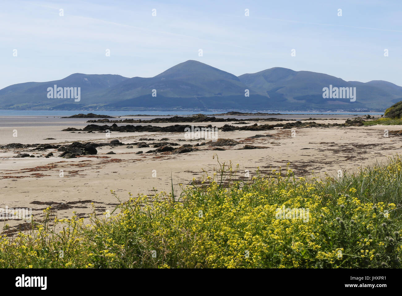 Newcastle beach co down hi-res stock photography and images - Alamy