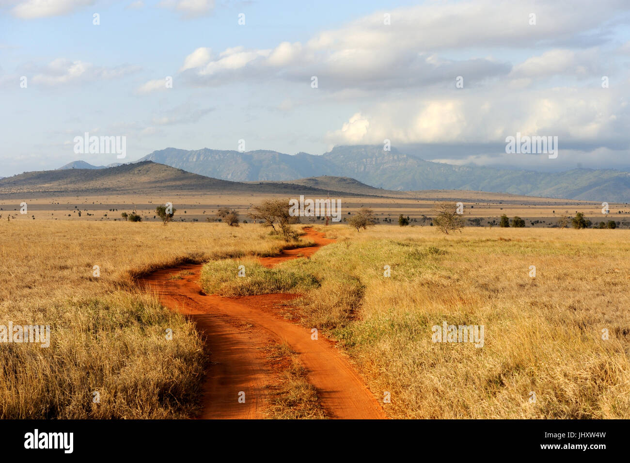 Savannah landscape in the National park in Kenya, Africa Stock Photo ...