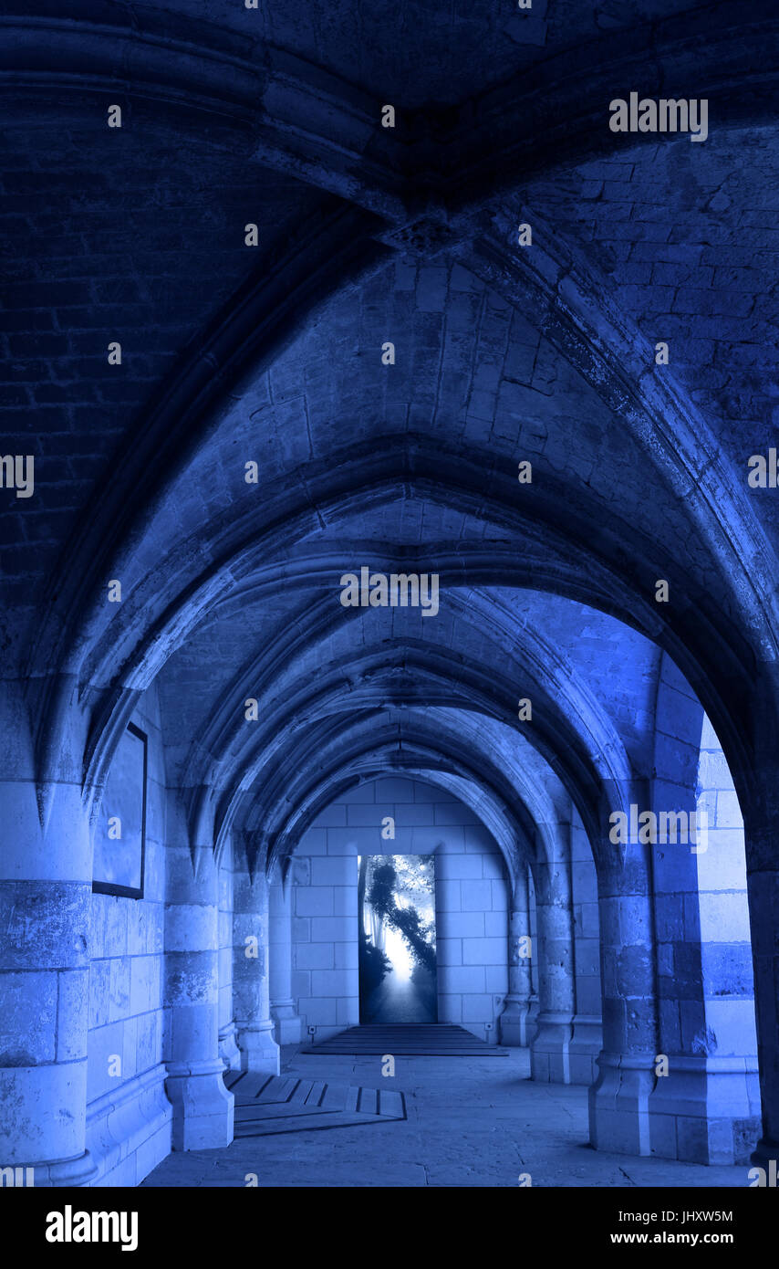 Corridor in medieval castle with open door and mysterious landscape ...