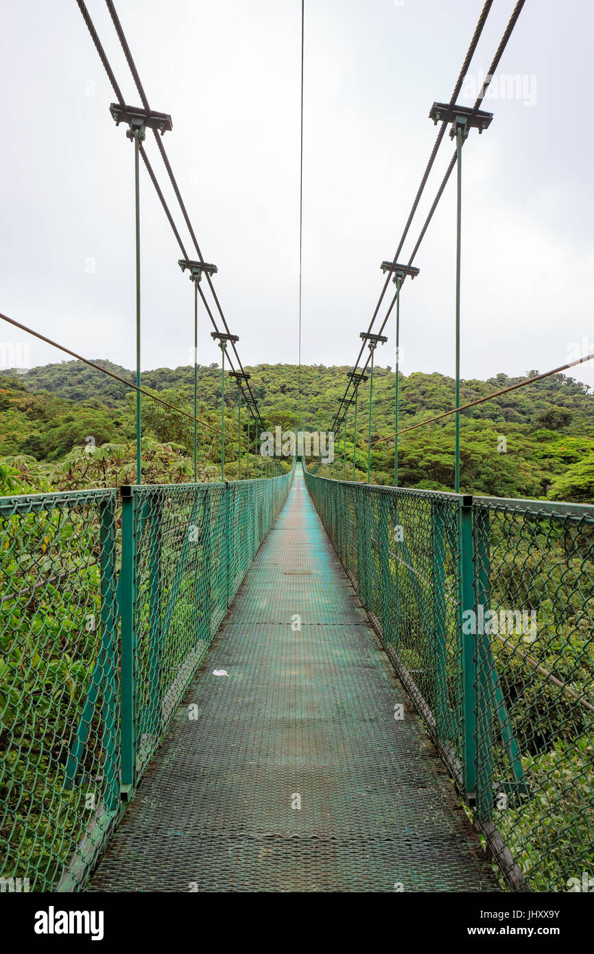 Suspension bridge in rainforest Stock Photo - Alamy