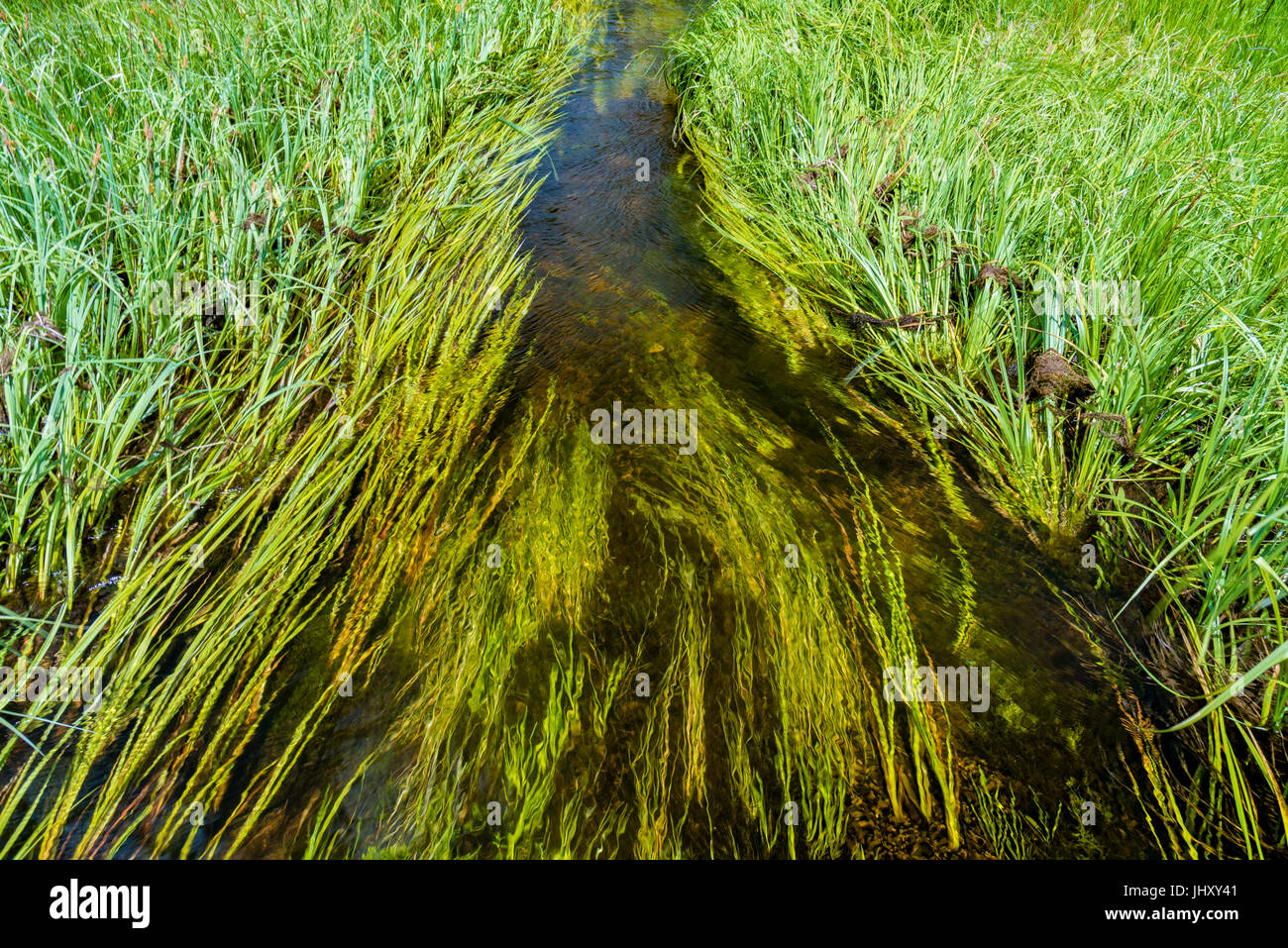River running through field grass hi-res stock photography and images ...