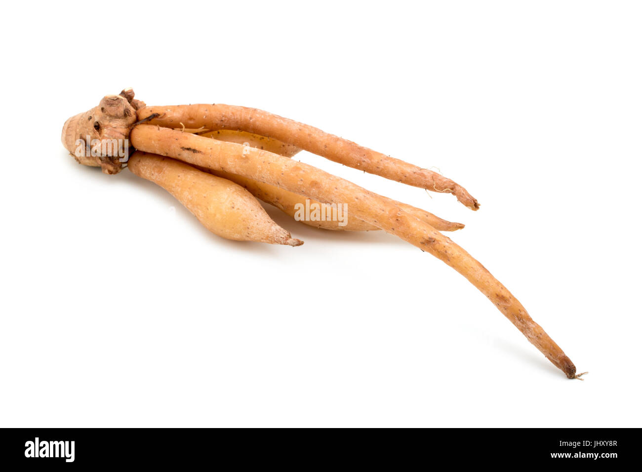 Galingale or Chinese ginger isolated on white background Stock Photo ...