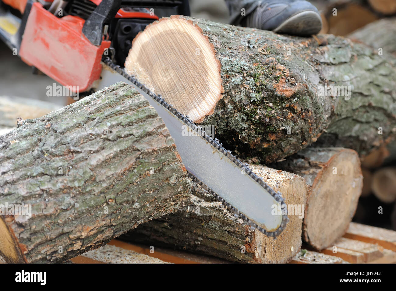 Chainsaw blade hi-res stock photography and images - Alamy