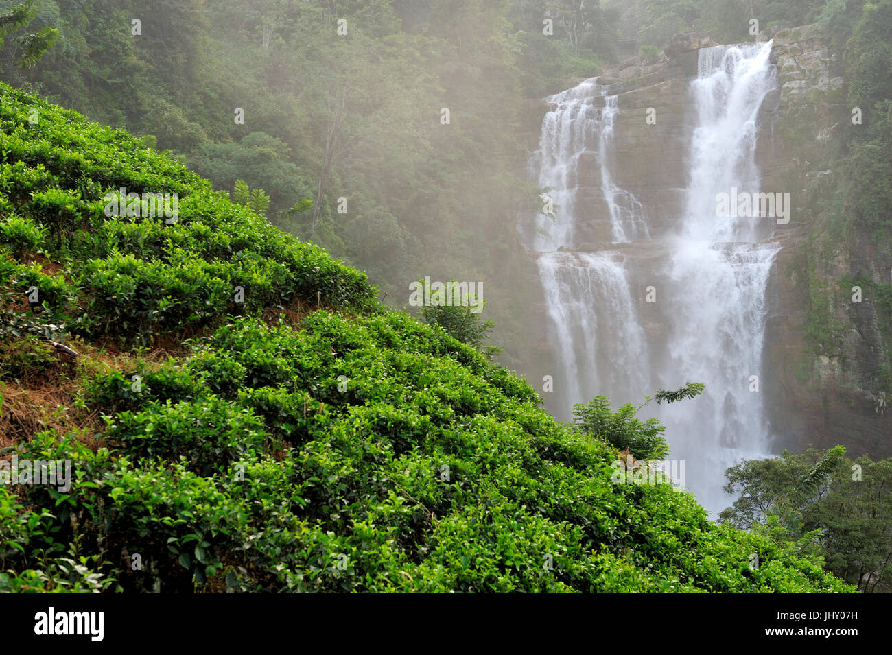 Ramboda falls in tropical mountain hi-res stock photography and images ...