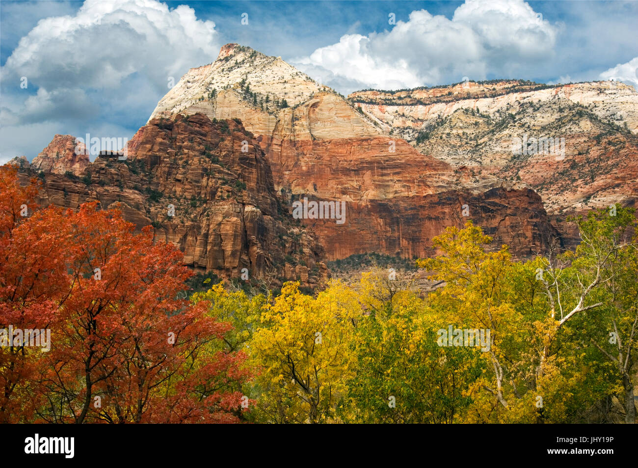 Observation Point, as viewed from the Grotto, hosts a palette of rich ...