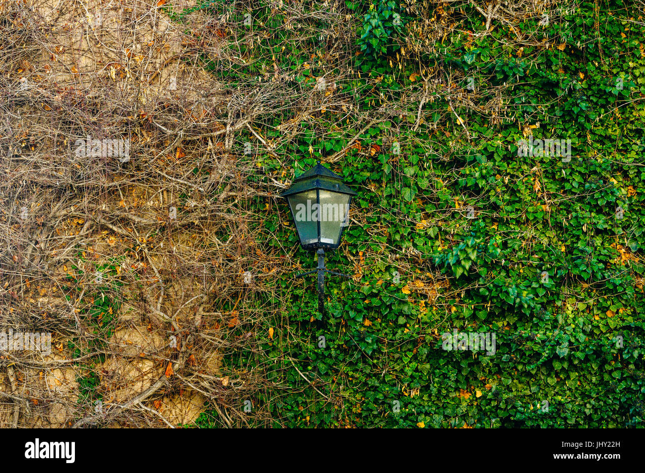 old style street lamp on a wall with two colours Stock Photo - Alamy