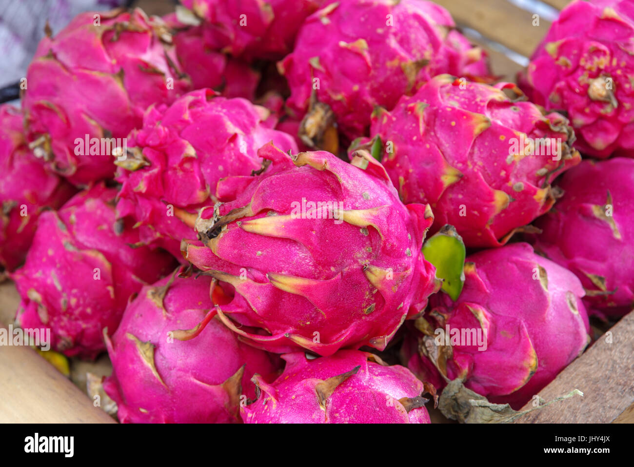 Tropical fruit Pitaya(Dragon Fruit), Philippines Stock Photo - Alamy