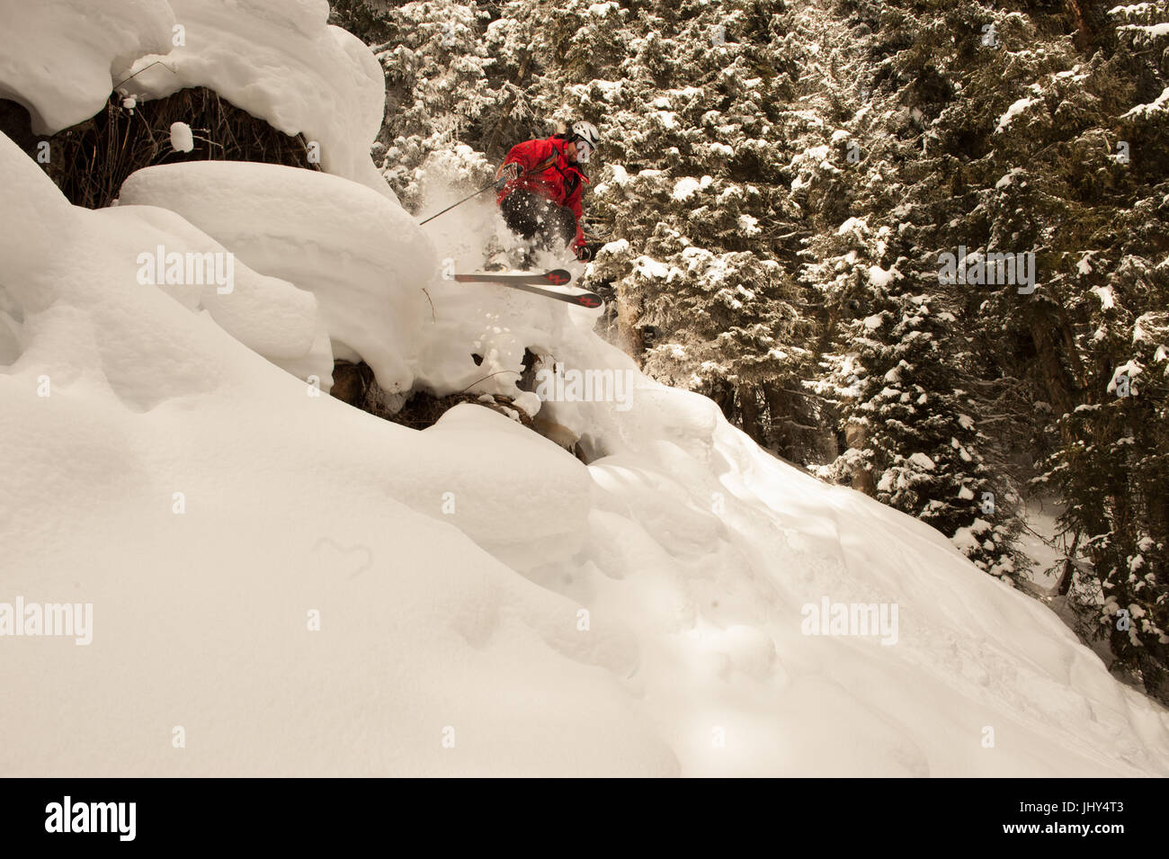 Jump tree trunk nature hi-res stock photography and images - Alamy