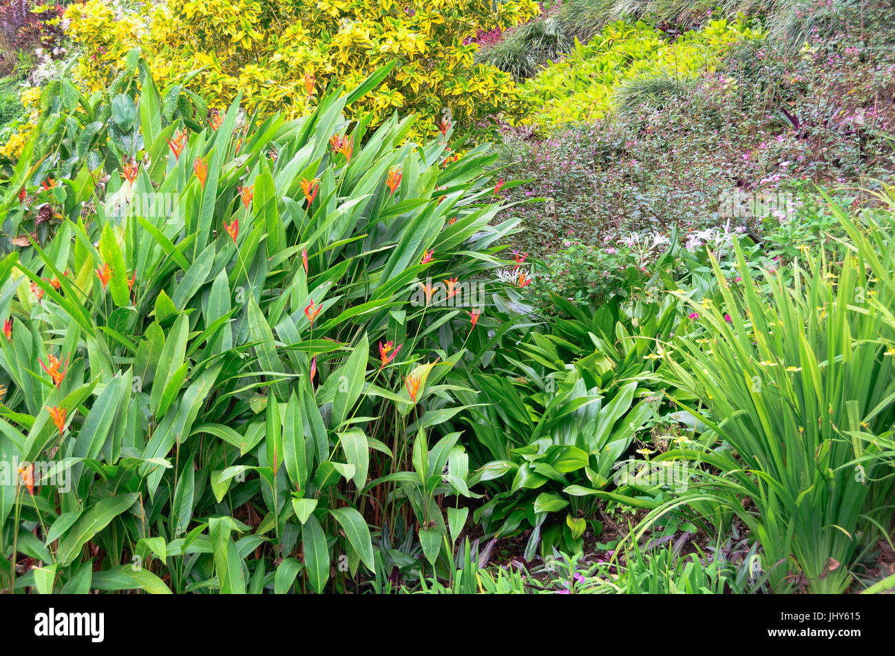 The Summit Gardens are the largest tropical gardens in the South ...
