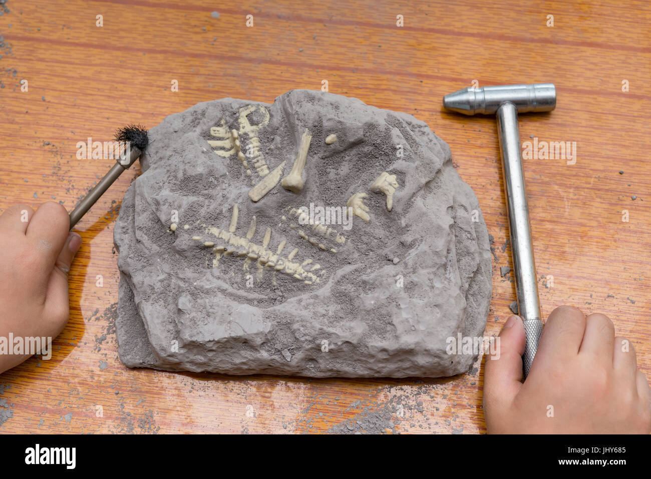 kid excavating animal bones from a rock Stock Photo - Alamy