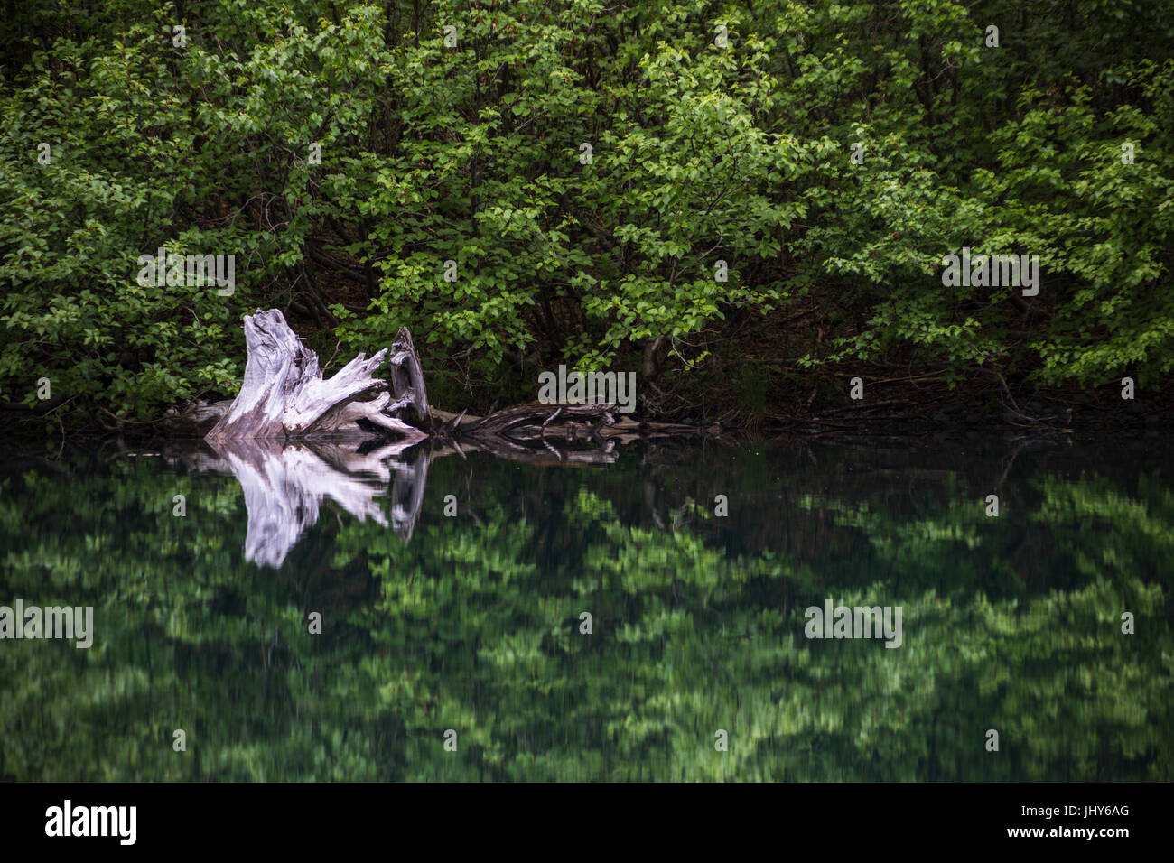 Pond, Tangle Pond, Girdwood, Kenai Peninsula, Alaska, USA Stock Photo ...