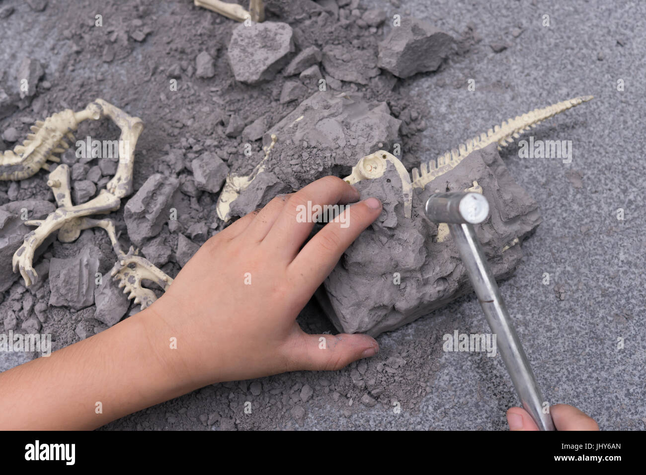 kid excavating dinosaur bones from a rock Stock Photo - Alamy