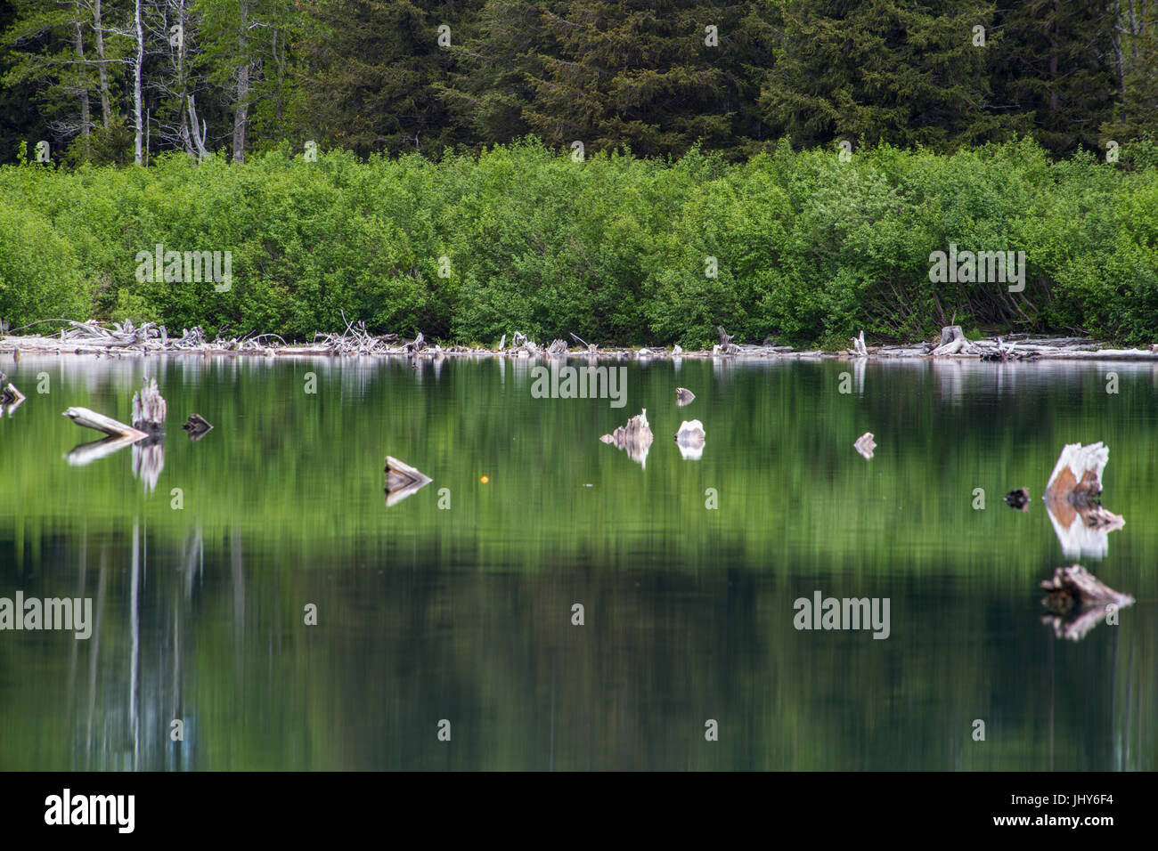 Pond, Tangle Pond, Girdwood, Kenai Peninsula, Alaska, USA Stock Photo ...