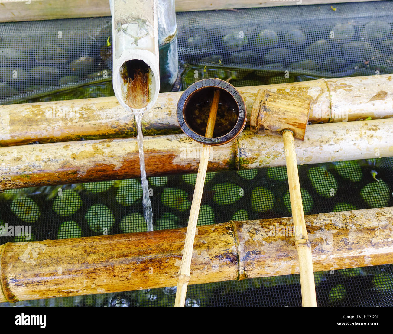 Japanese ladles at Shinto temple in Kyoto, Japan. In Japan, a tsukubai ...