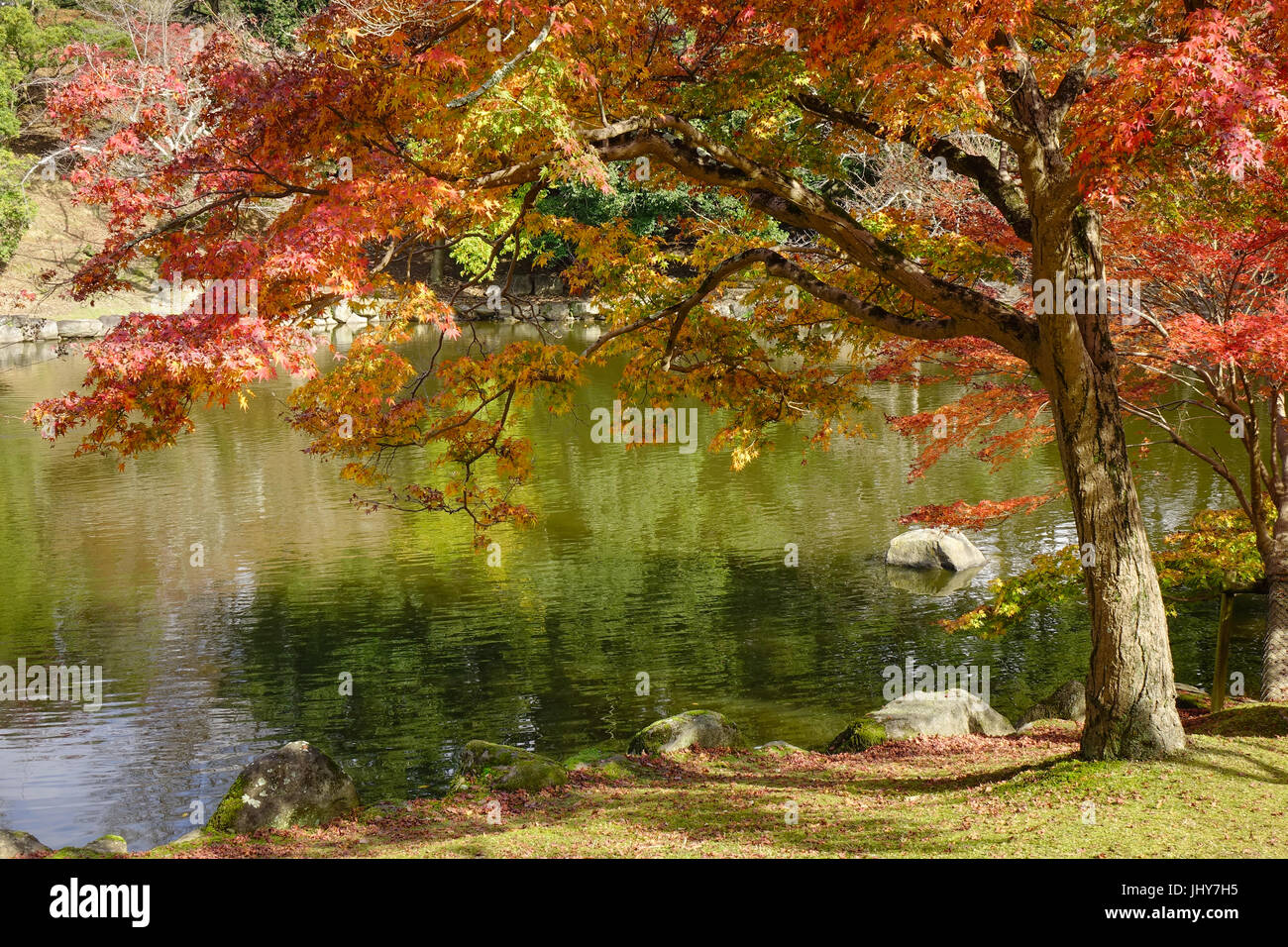 Imperial temple , nara hi-res stock photography and images - Alamy