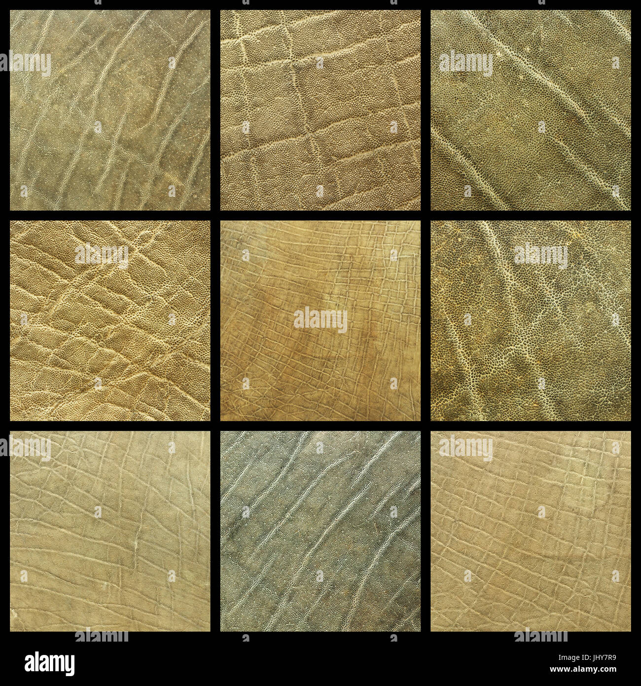 collection of african elephant leather ready for your design Stock ...
