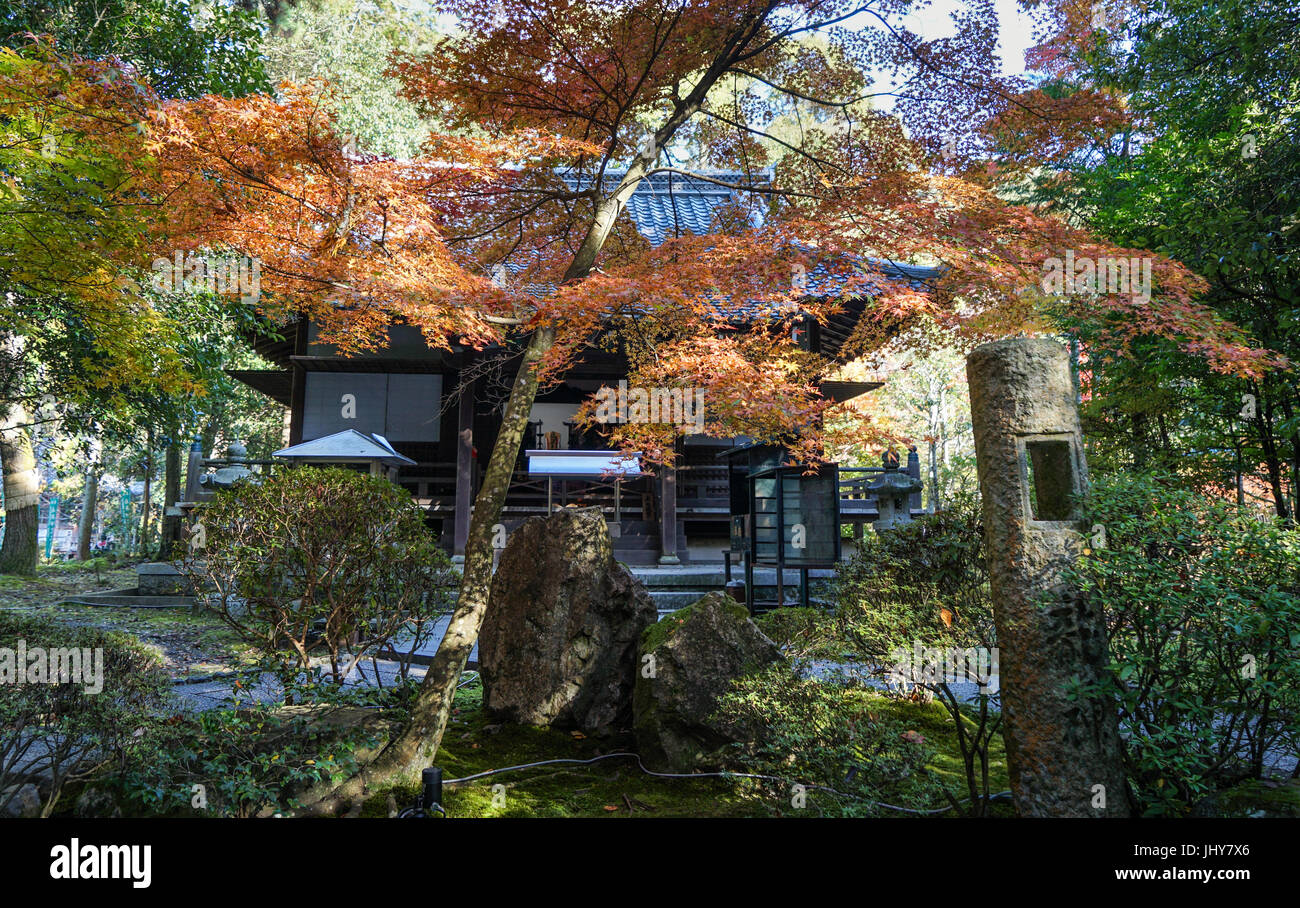 Autumn garden of Shinto Shrine in Kyoto, Japan. Kyoto is famous for its ...