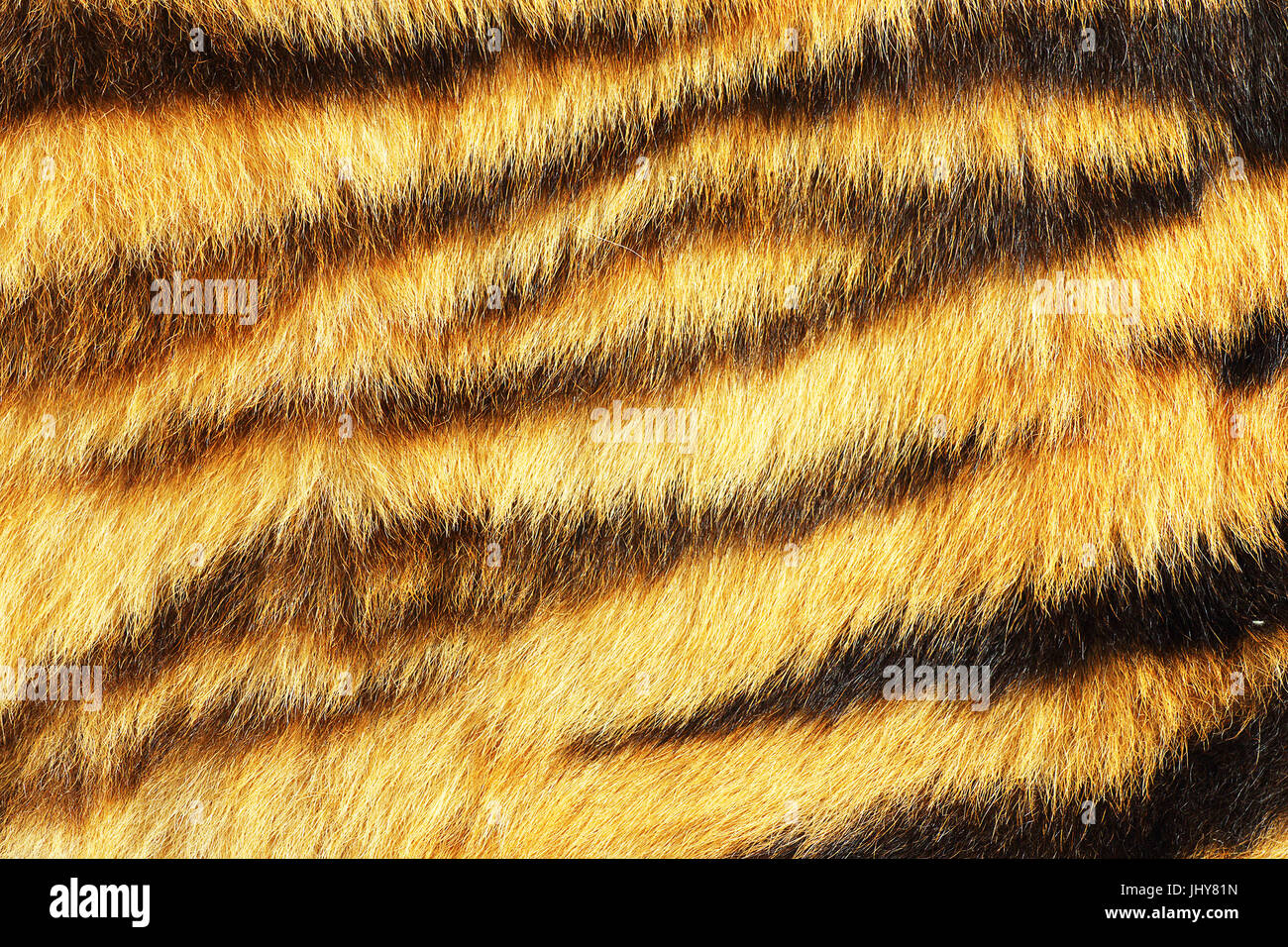 tiger stripes on real animal leather ready for your design Stock Photo ...