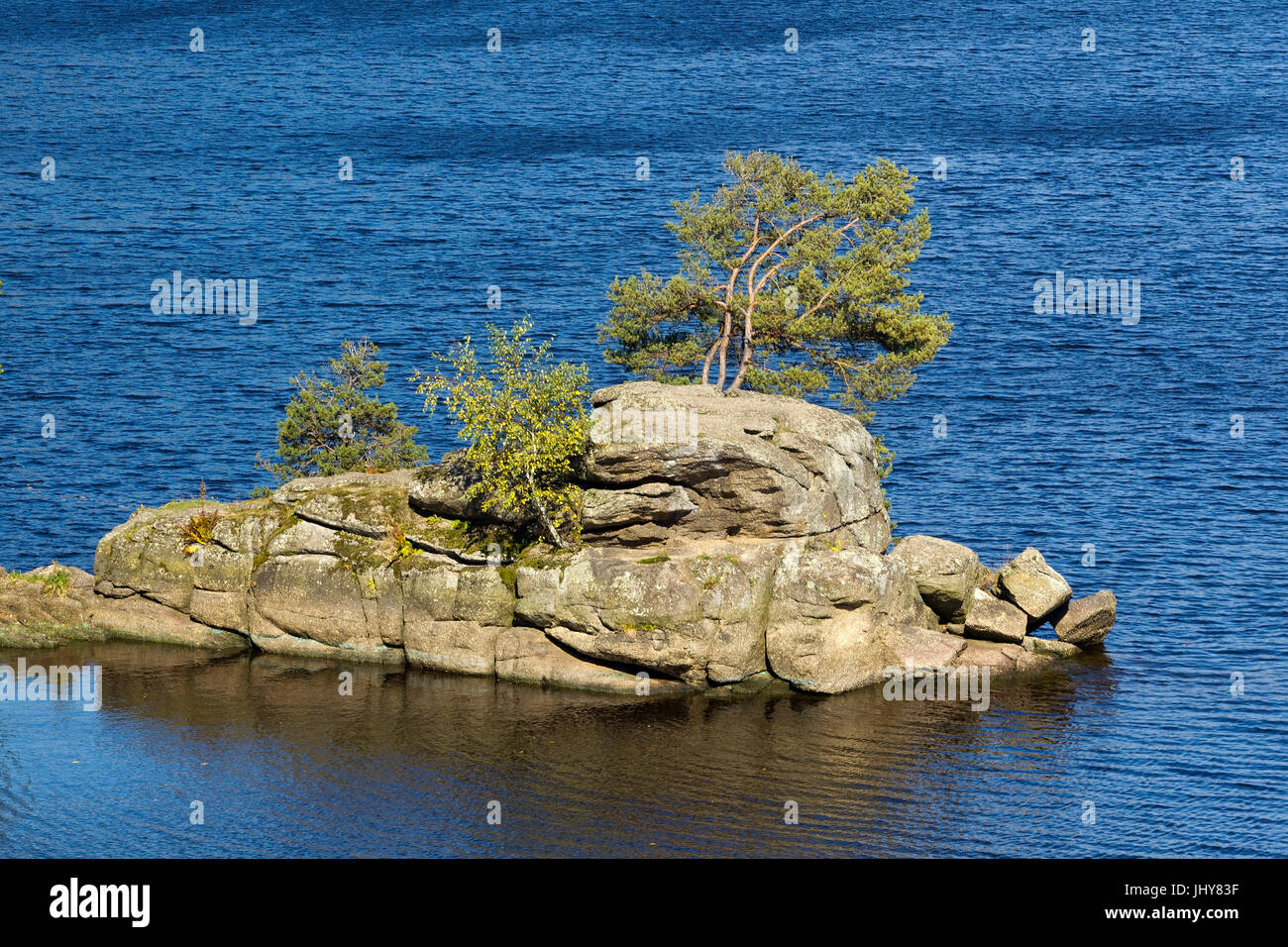 Granite block in the reservoir Ottenstein in autumn, forest quarter ...