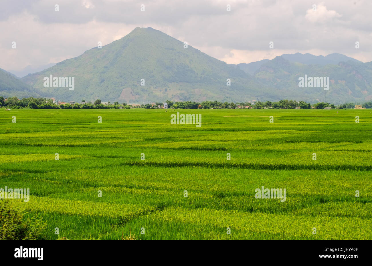 Largest rice terrace in the world hi-res stock photography and images ...