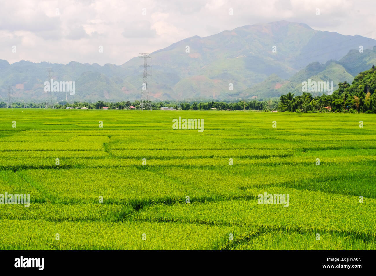 Largest rice terrace in the world hi-res stock photography and images ...