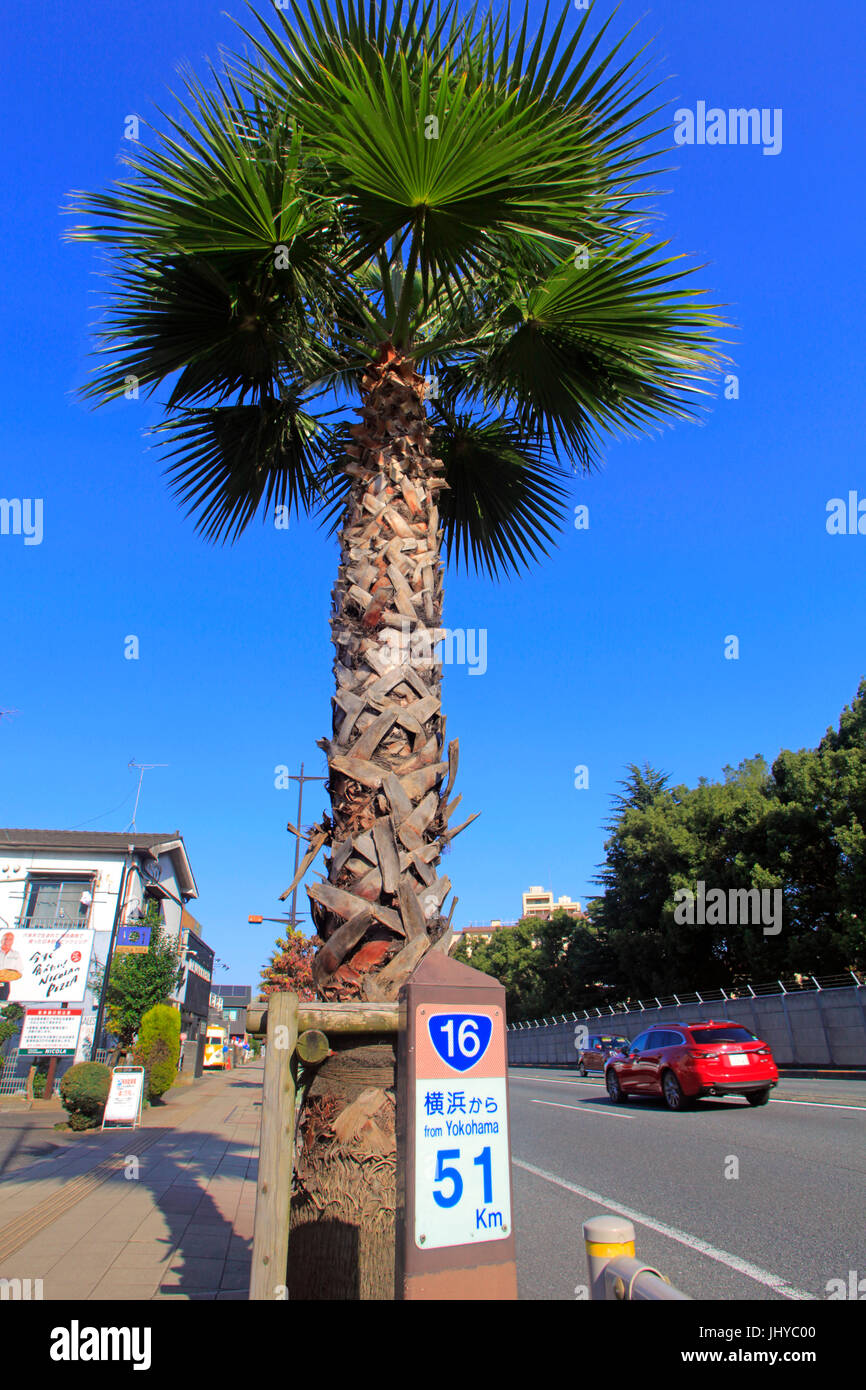 Fussa Base Side Street on Route 16 Alongside Yokota Air Base in Fussa ...